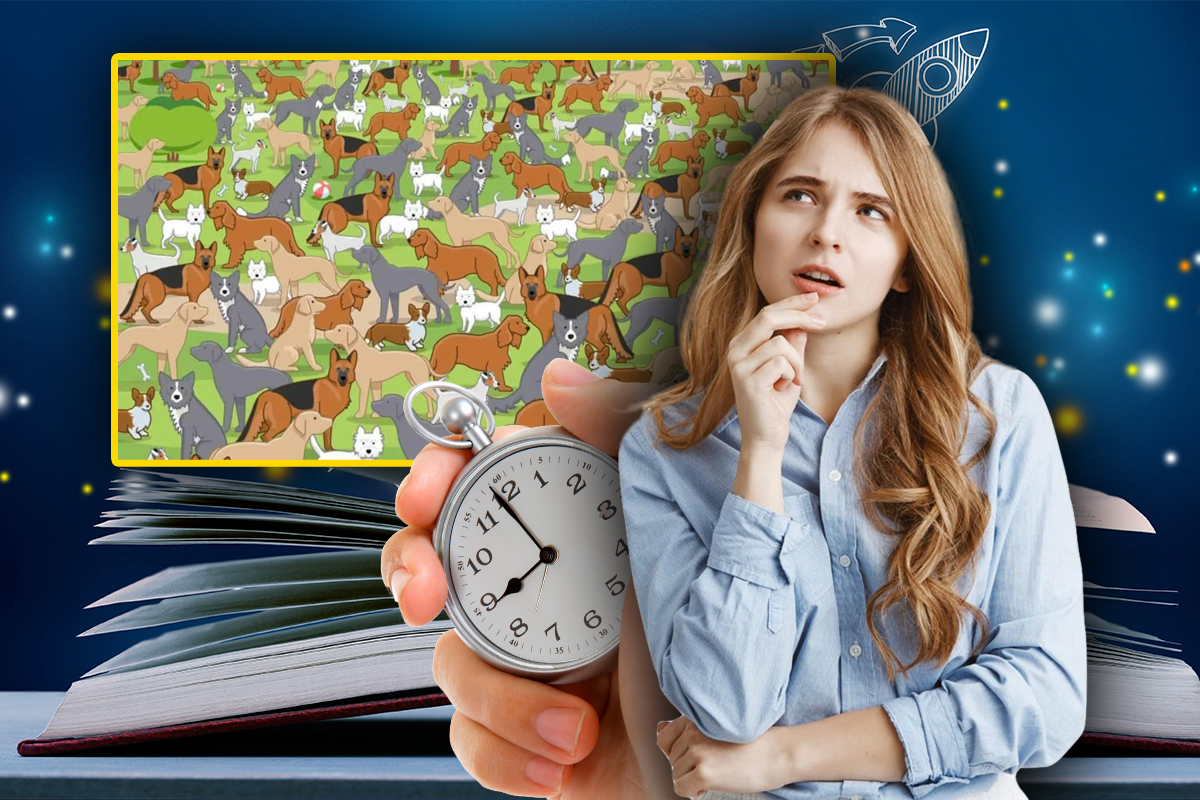 Test de atenţie. Găseşte puiul de câine în 17 secunde şi află cum stai ...