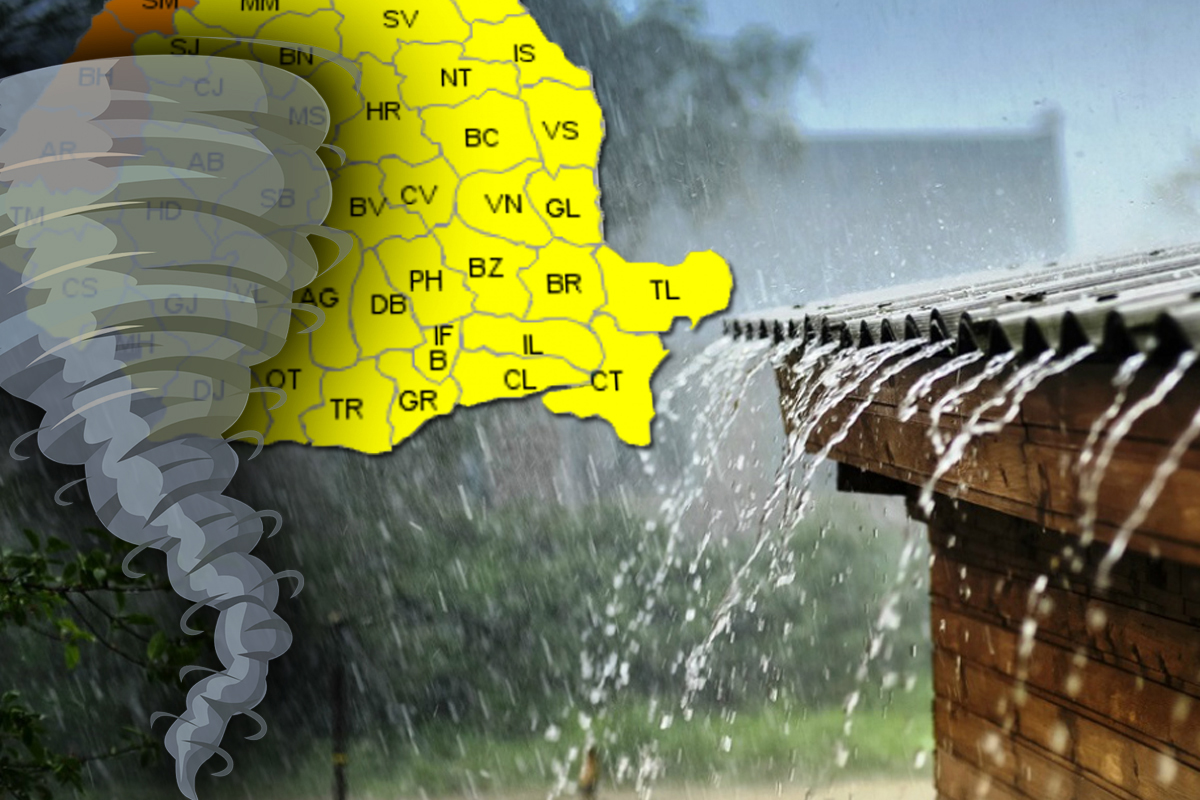 Cod galben de vijelii în România. Care sunt județele vizate de prăpăd chiar astăzi - Playtech Știri