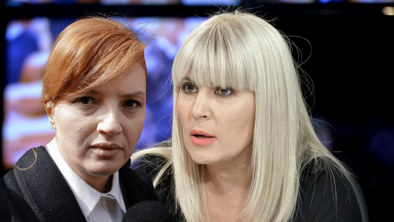 Elena Udrea și Ioana Băsescu, din nou la tribunal. Procurorii DNA au cerut redeschiderea ...