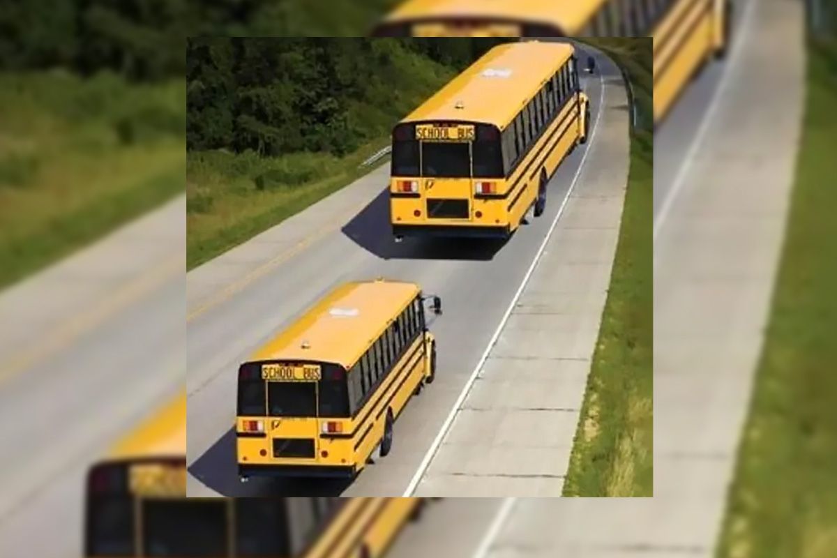 Iluzia optică pentru cei mai inteligenți oameni. Care dintre autobuze ...