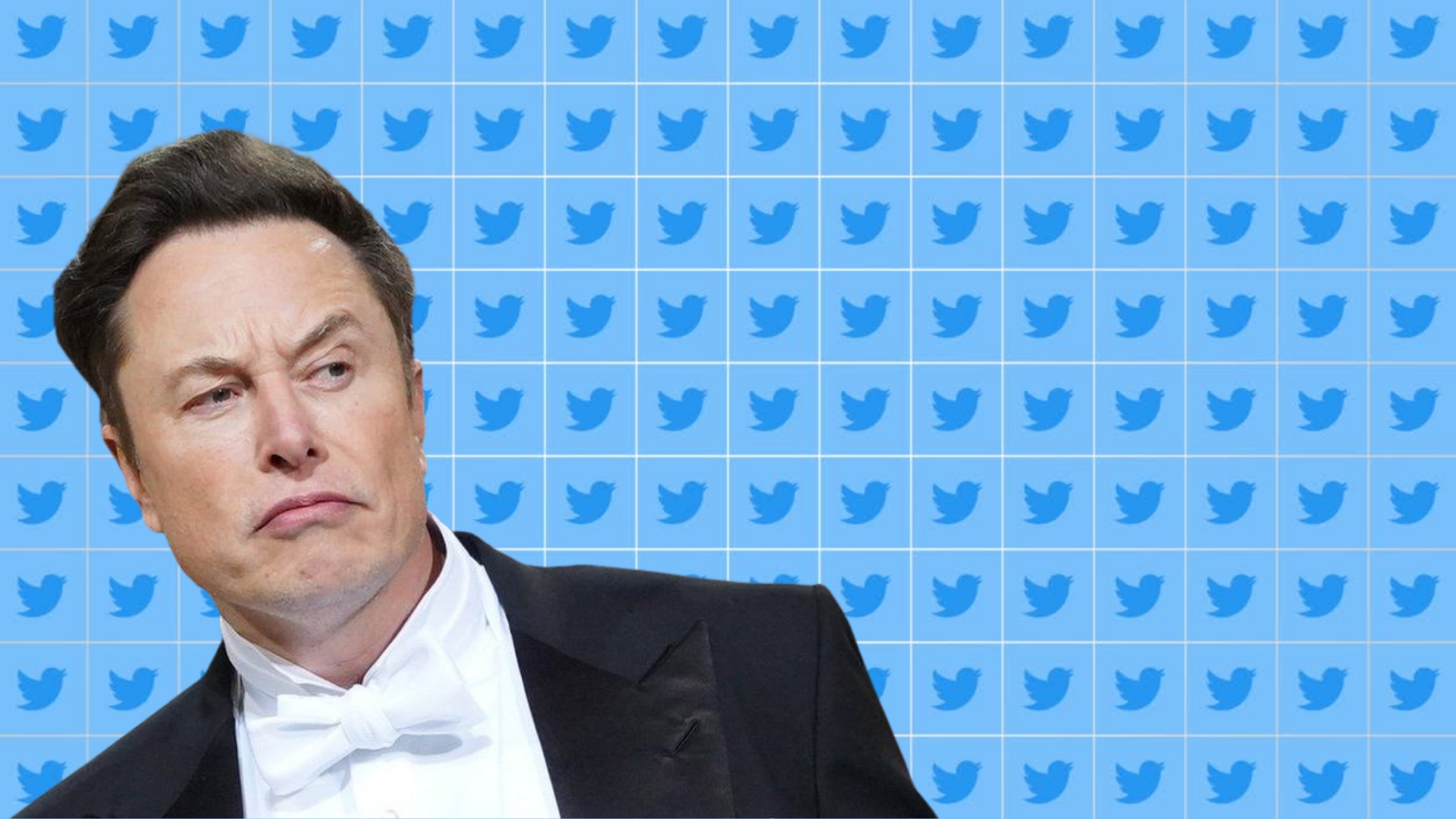 Războiul Elon Musk vs. Twitter nu se oprește: un fost angajat al ...