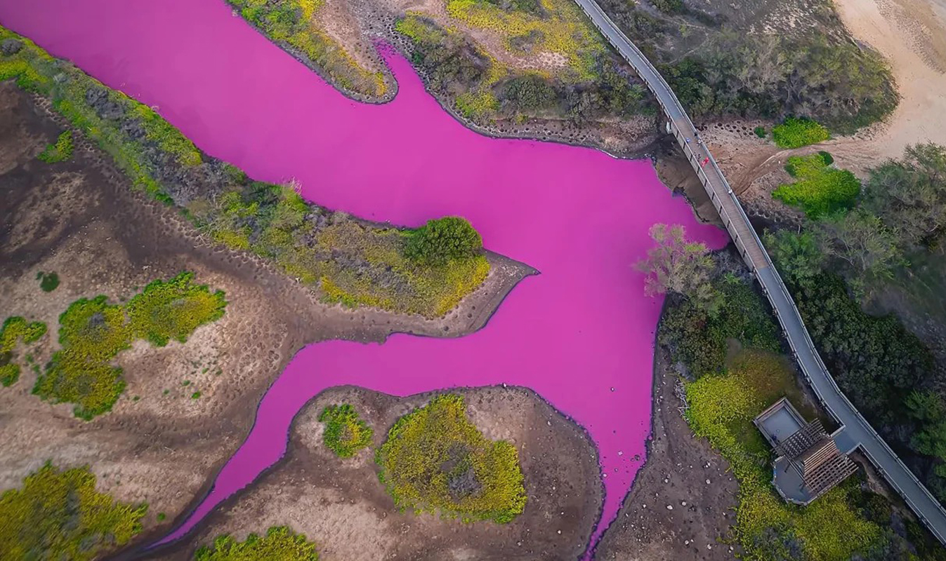 Fenomen straniu într-un lac, apa a căpătat culoarea magenta și nimeni ...