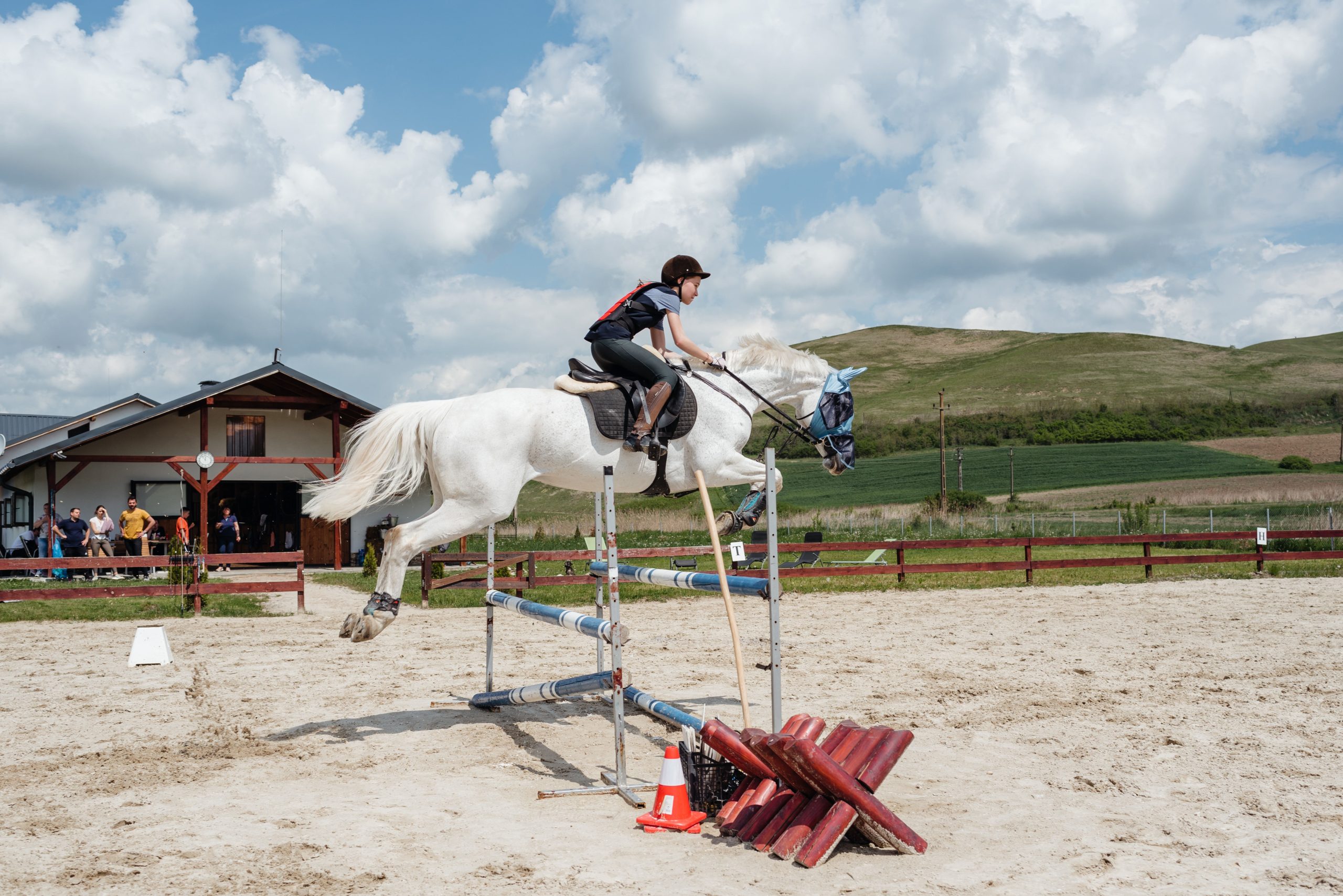 Evoluția echitației în România: Sportul în care animalul și omul sunt ...