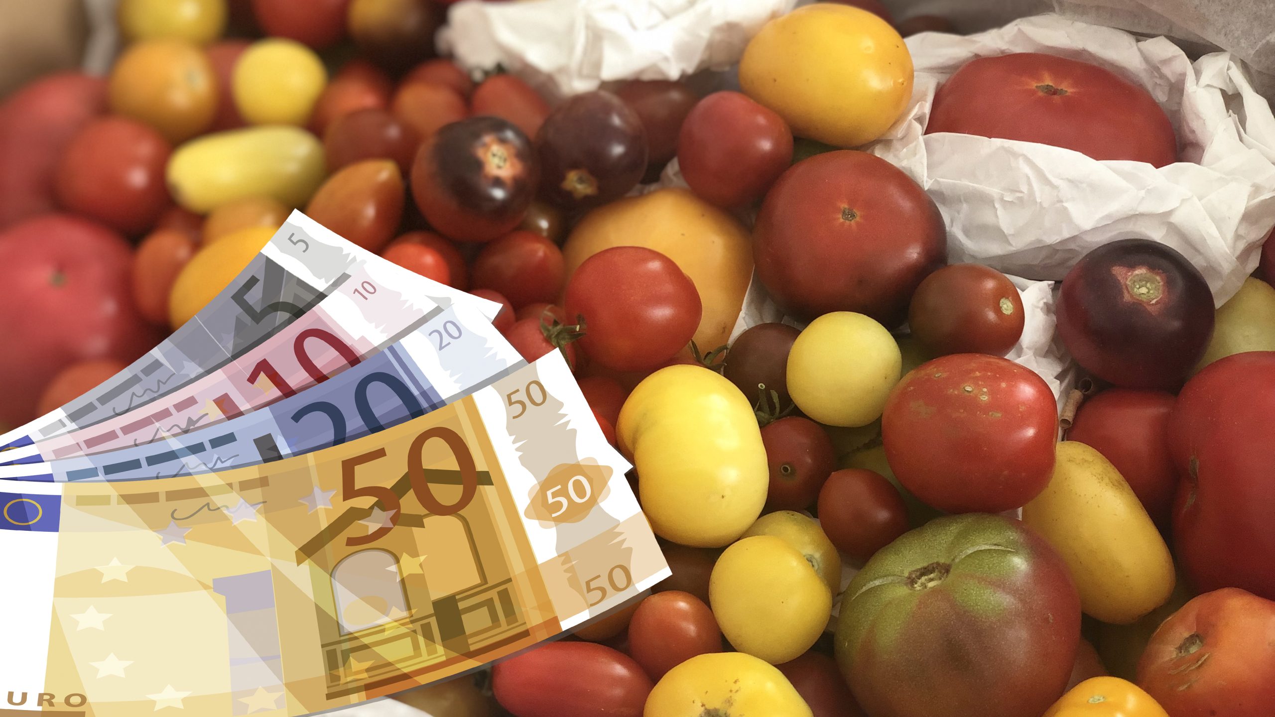 Se schimbă ajutoarele de la stat pentru fermieri în 2025, programul ...