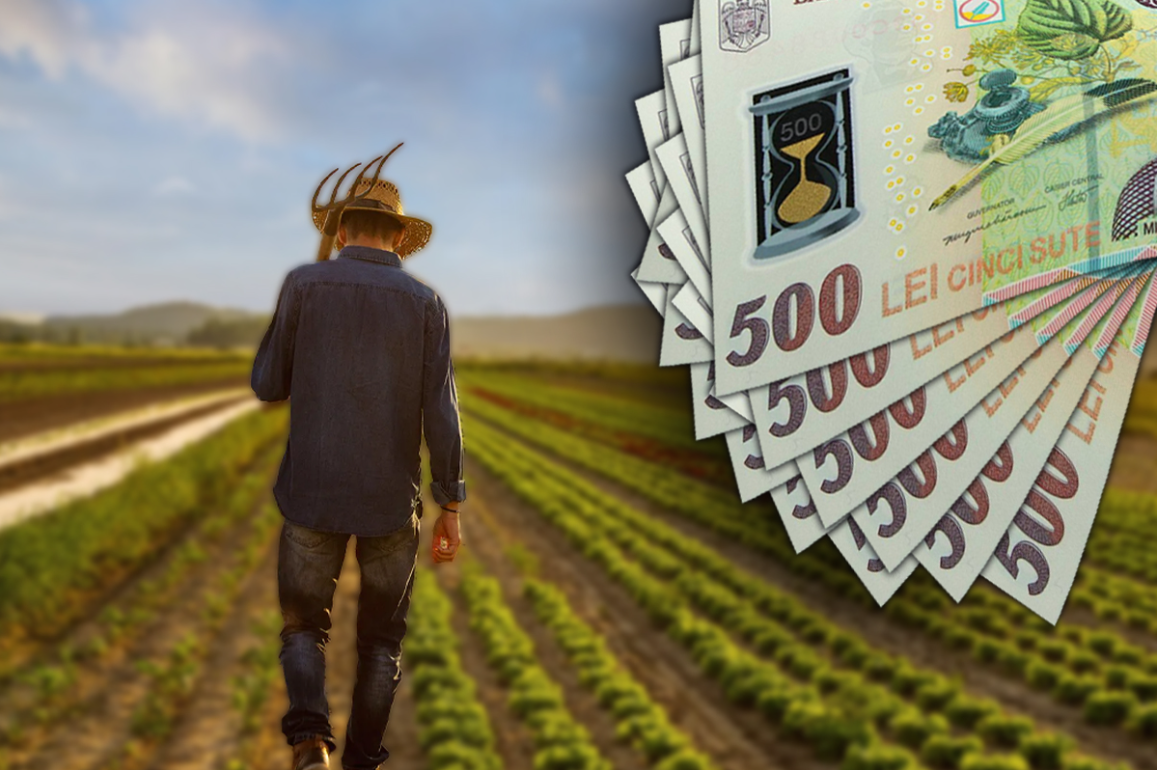 Primești 500 de lei de la stat dacă lași iarba să crească. Românii cu livezi nu știu de acest ajutor