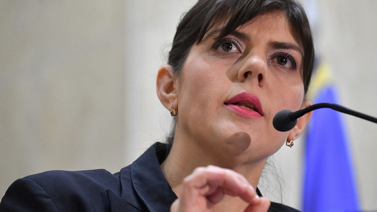 Laura Codruța Kovesi a găsit soluția la criza de bani din România - reduceți urgent frauda cu ...