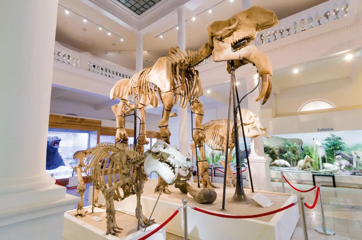 Muzee București 2025