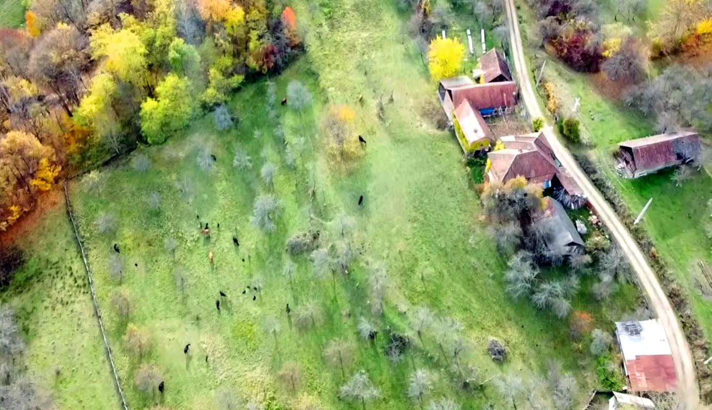 Satul din România cumpărat de un afacerist cu doar 80.000 euro. Pe o sumă de nimic, și-a luat un ...