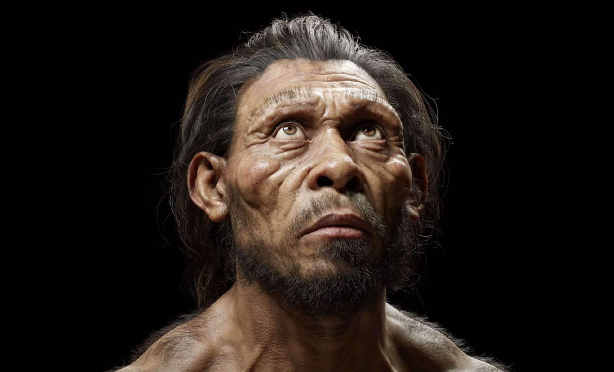 Fața umanității din trecut: de la Hobbit la Neanderthal. Strămoșii ...