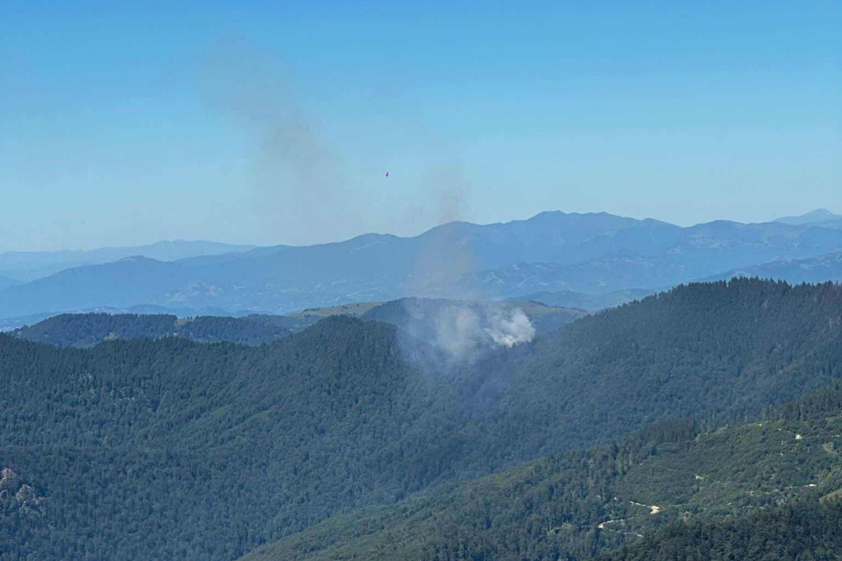 Intervenție dificilă în Masivul Țibleș, unde un incendiu de pădure se ...