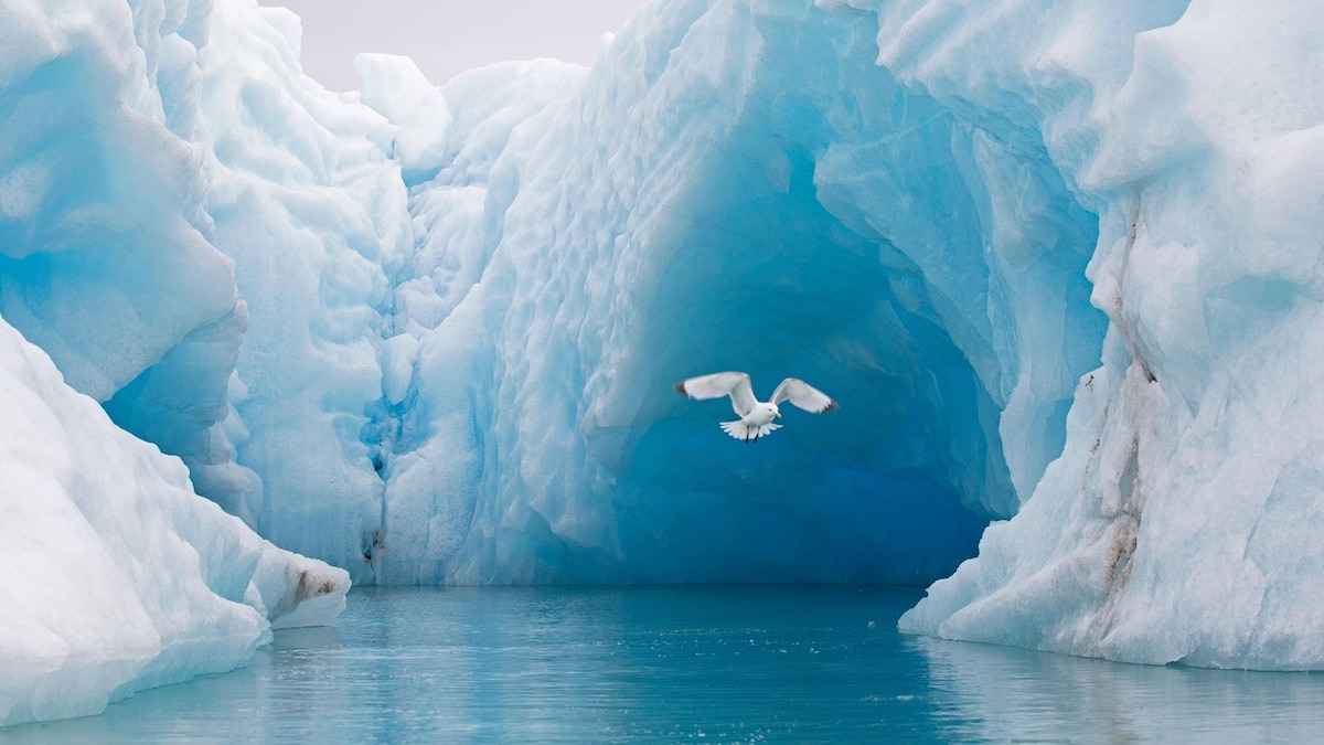 Oceanul Arctic se schimbă la față, dar nu în bine. Consecințele ...