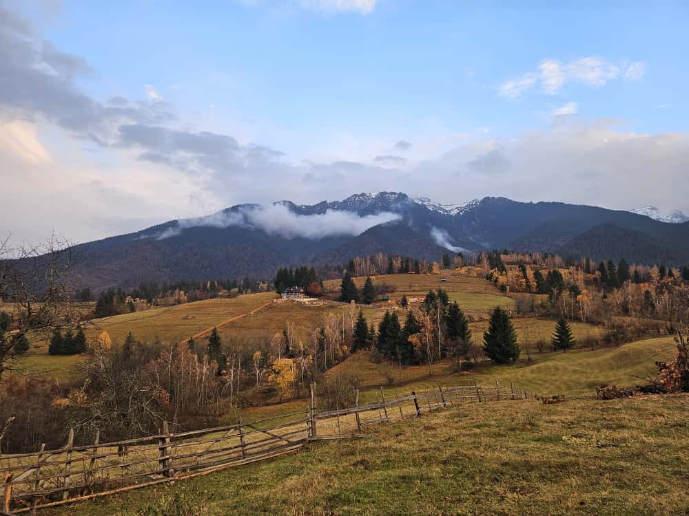 EXPERIENȚĂ Weekend ca în Harry Potter: experiența de la Bran care ...