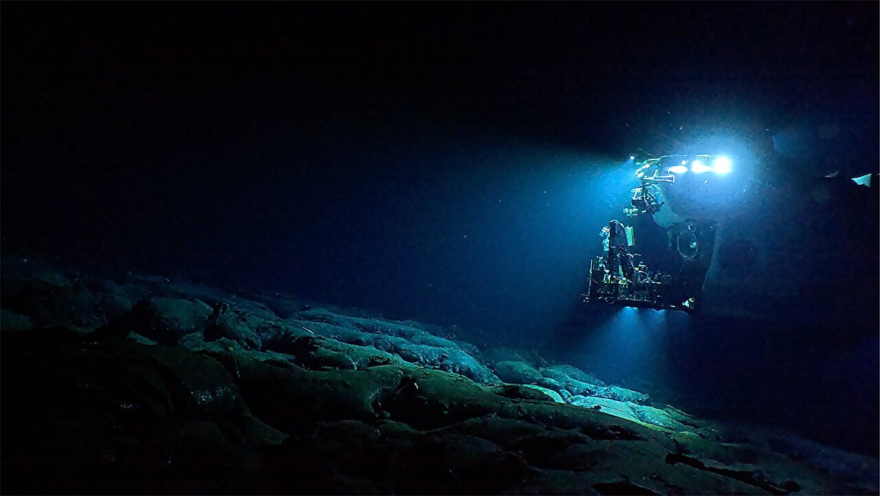 Descoperire majoră în Pacific: specii marine necunoscute găsite la 4. ...