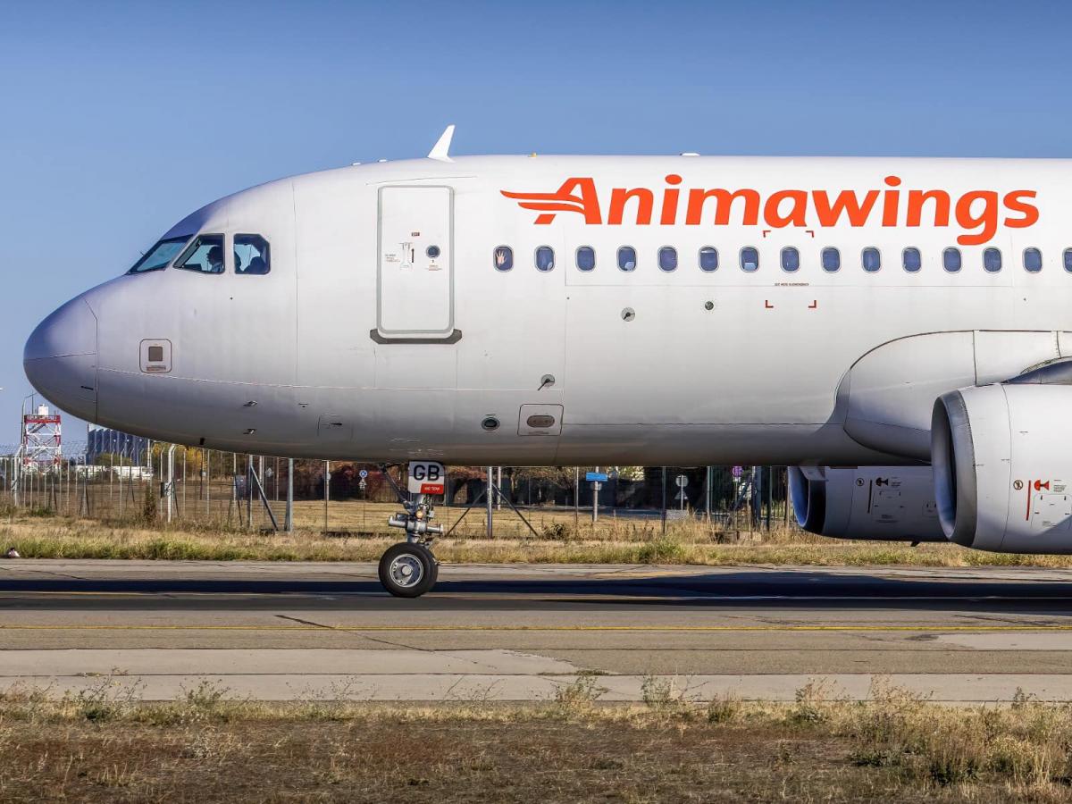 Anima Wings lansează noi rute în România. Oraşele europene în care poţi ...