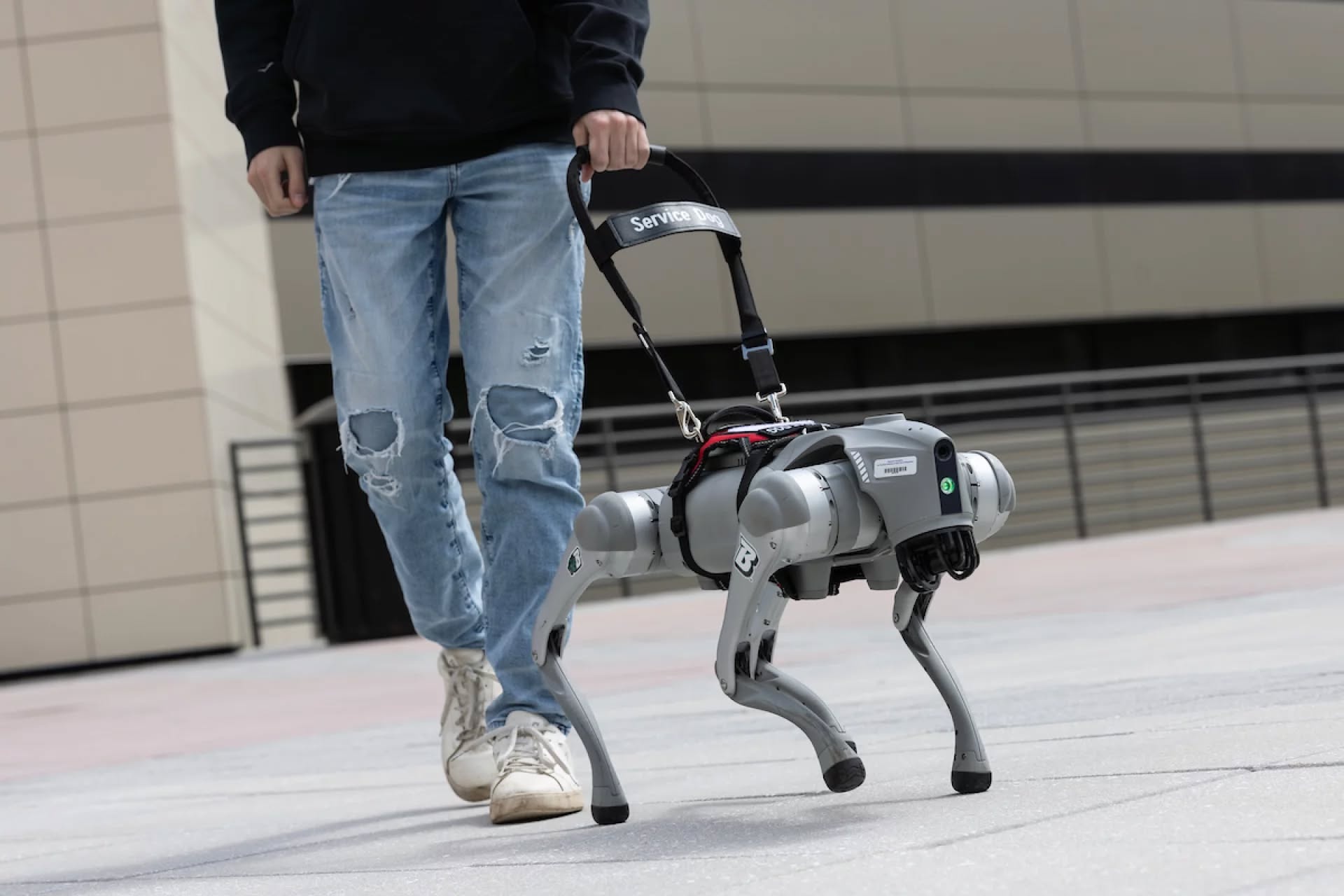 VIDEO: Un câine robot cu AI le vorbește nevăzătorilor și îi ajută să ...
